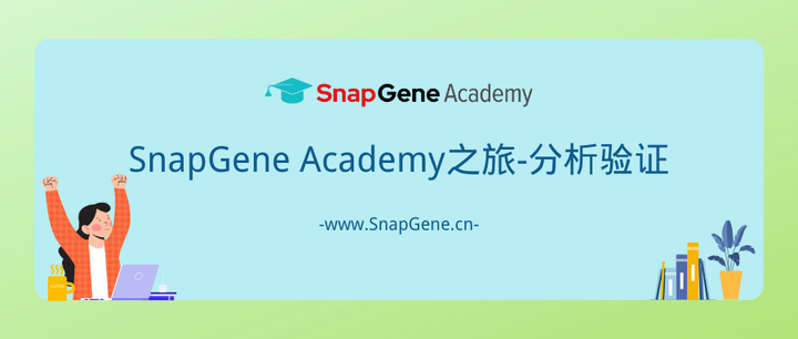 SnapGene学院之旅-分析验证 - 知乎