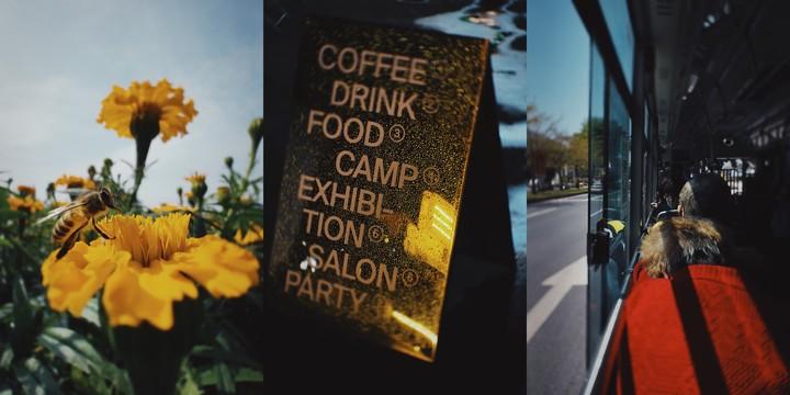 玩转 NOMO 相机 app，看这一篇文章就够了 - 知乎