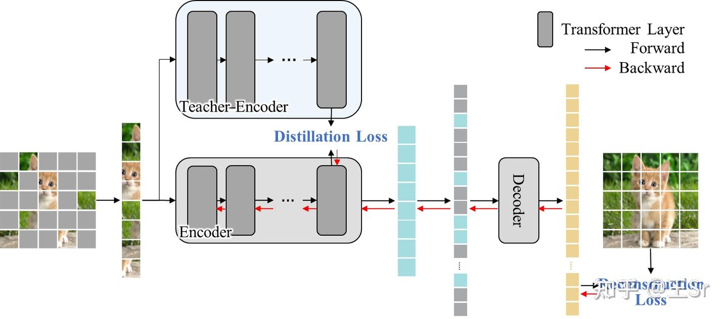 ICML2023 | 轻量级ViT的预训练实践手册 - 知乎