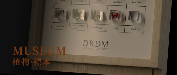 新锐国货｜DRDM探索自然与科技先进融合 - 知乎