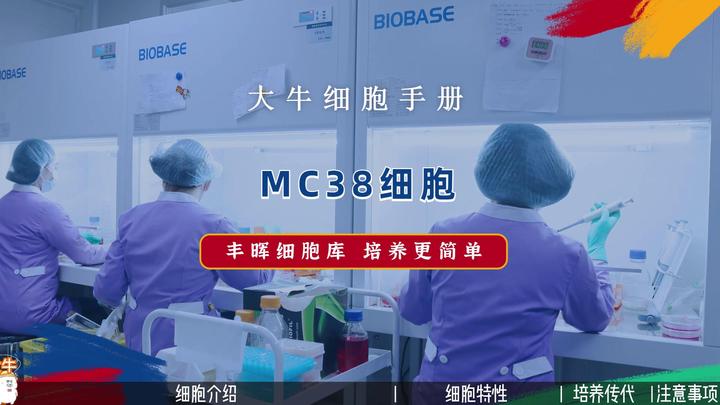 MC38细胞培养，小鼠结肠癌细胞培养攻略-丰晖生物 - 知乎