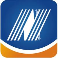 Netter脑血管解剖（精美原版高清彩色大图）二 - 知乎