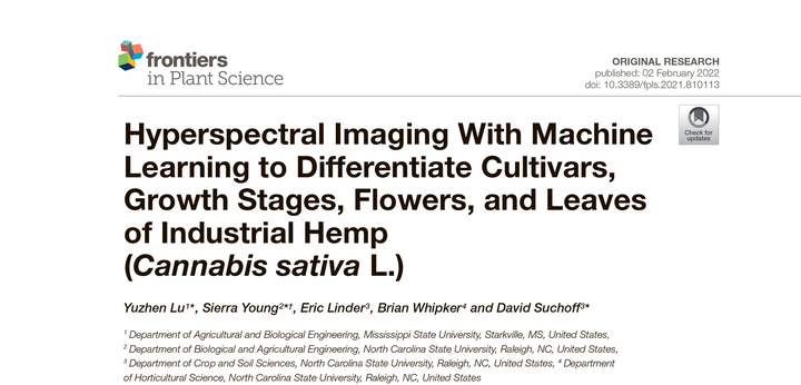 FRONT PLANT SCI |基于机器学习和高光谱成像识别工业大麻的品种、生长阶段、花和叶子 - 知乎