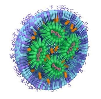 新时代来了：肿瘤新抗原mRNA疫苗2b临床成功 - 知乎