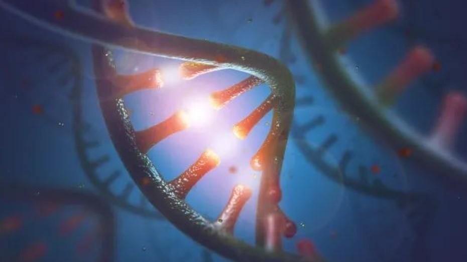 诺贝尔奖的遗憾——纪念表观遗传先驱Charles David Allis博士 - 知乎