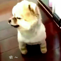 EDIFACT UNB Segment 详解 - 知乎