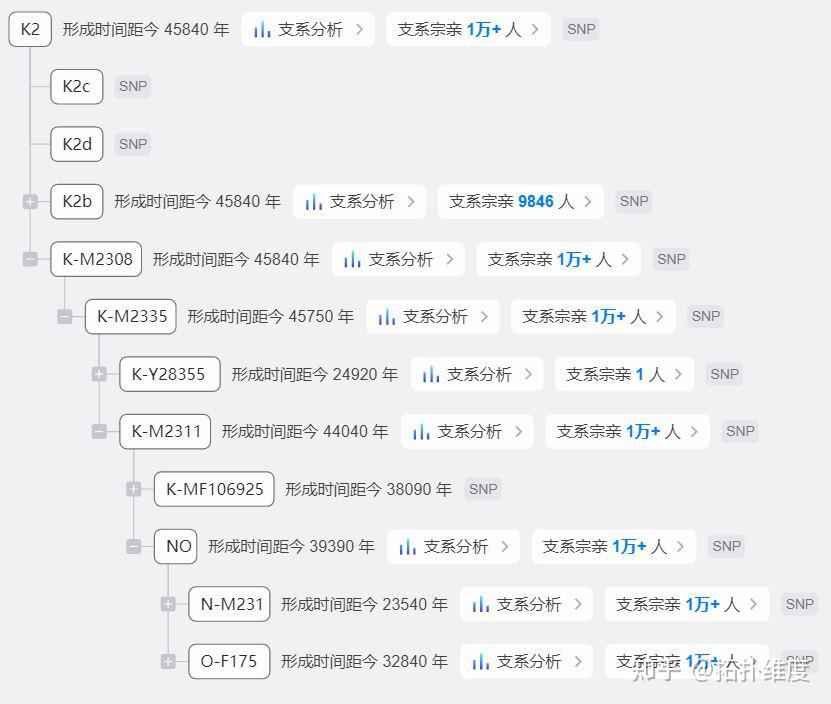 最近发现Y染色体K2祖型7人，证实NO-M214源自中国东部 - 知乎