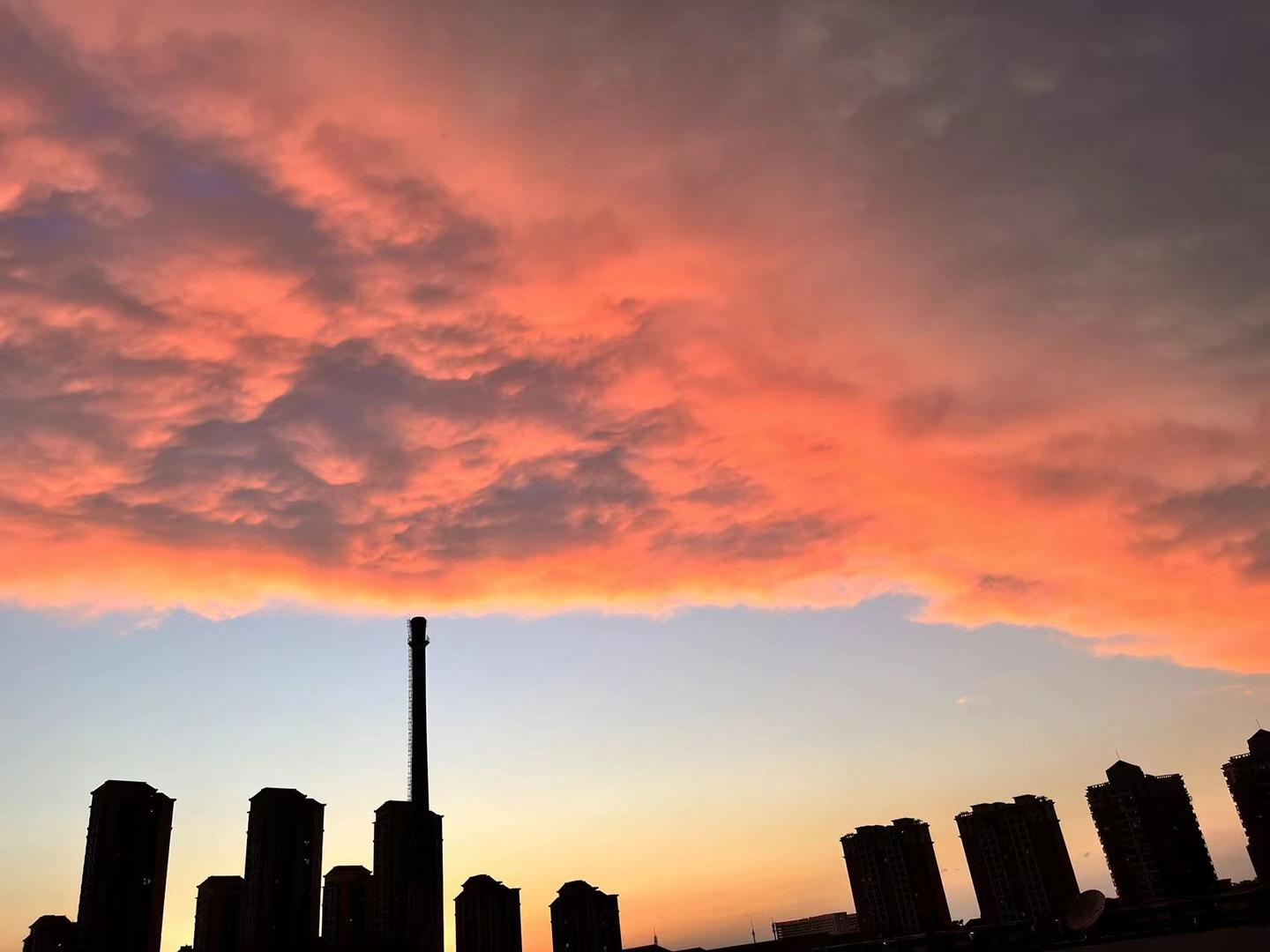 Java EasyExcel动态修改注解 导出动态表头 - 知乎