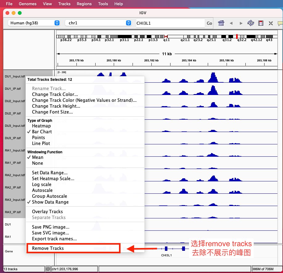 深入解析IGV基因组浏览器：igvtools快速 - 知乎
