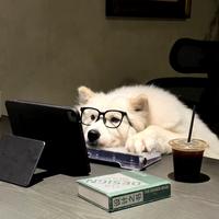 【深度学习】深刻理解Masked Autoencoders（MAE） - 知乎