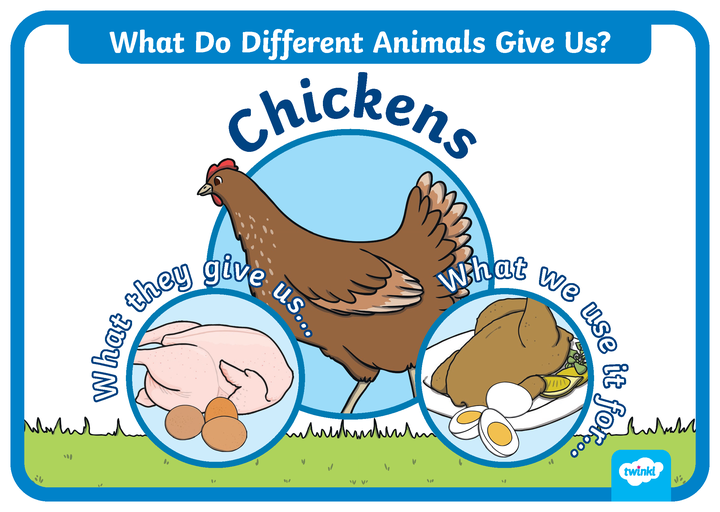 推荐 I 如何进行“主题+任务/项目（TBL/PBL）”英语学习 - 知乎