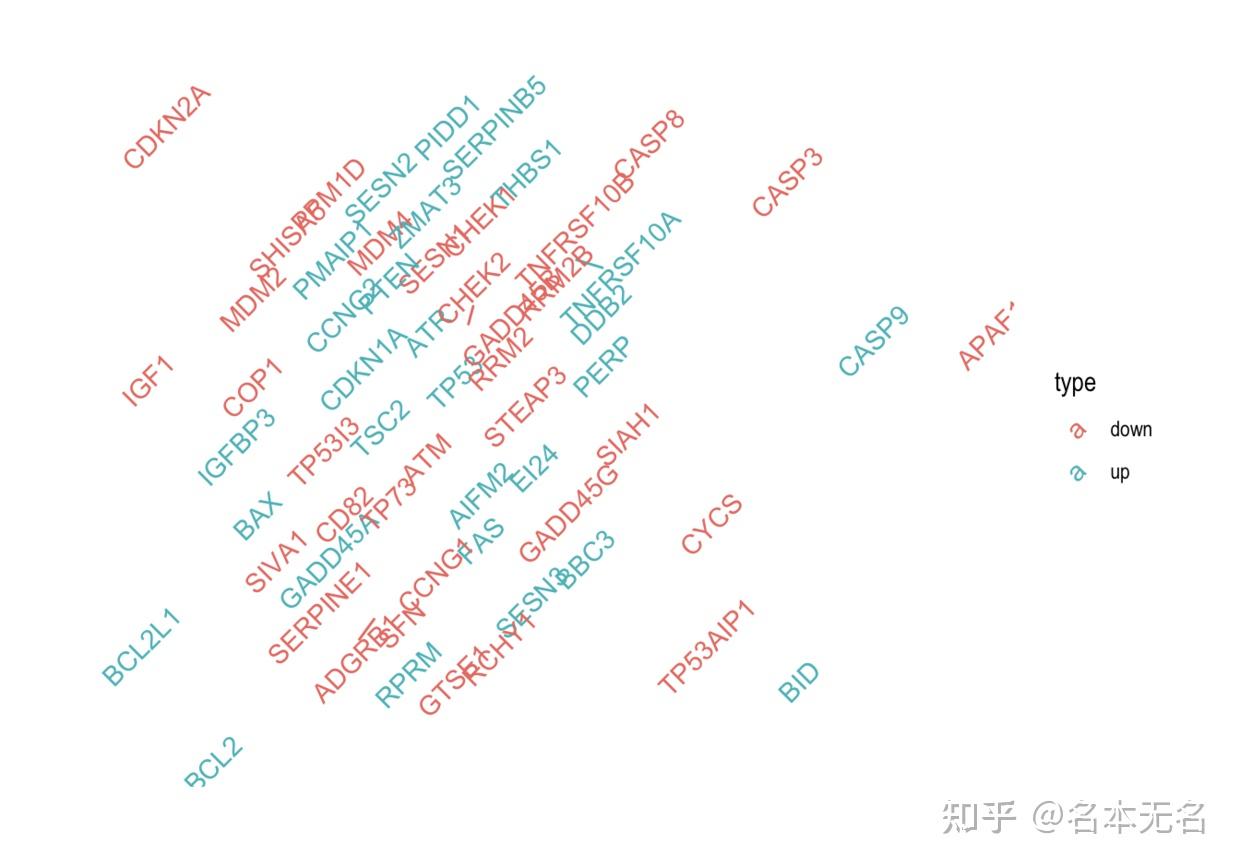 R 数据可视化 —— ggraph 节点与边 - 知乎