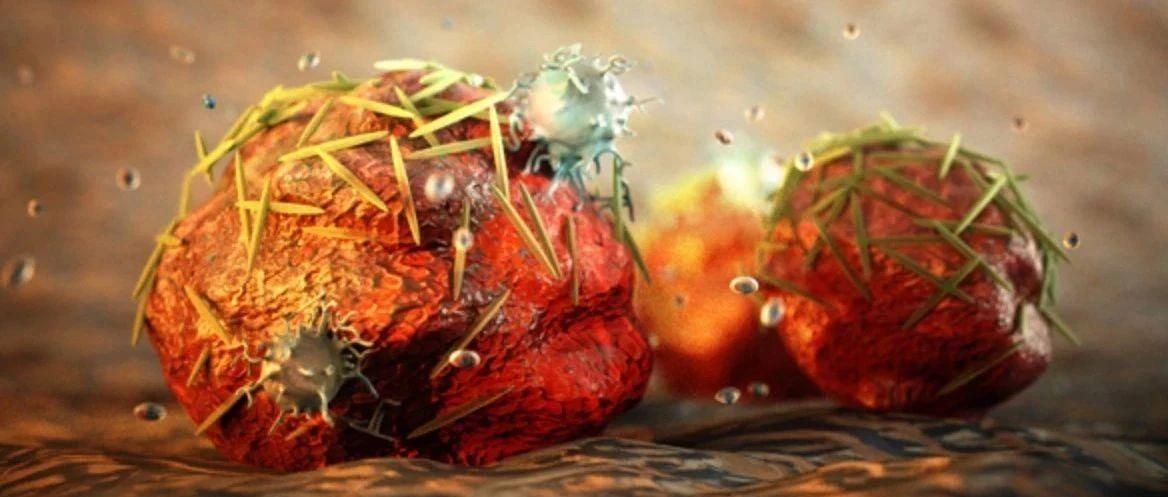 开发下一代ADC药物！初创公司Tubulis A轮融资1070万欧元 - 知乎