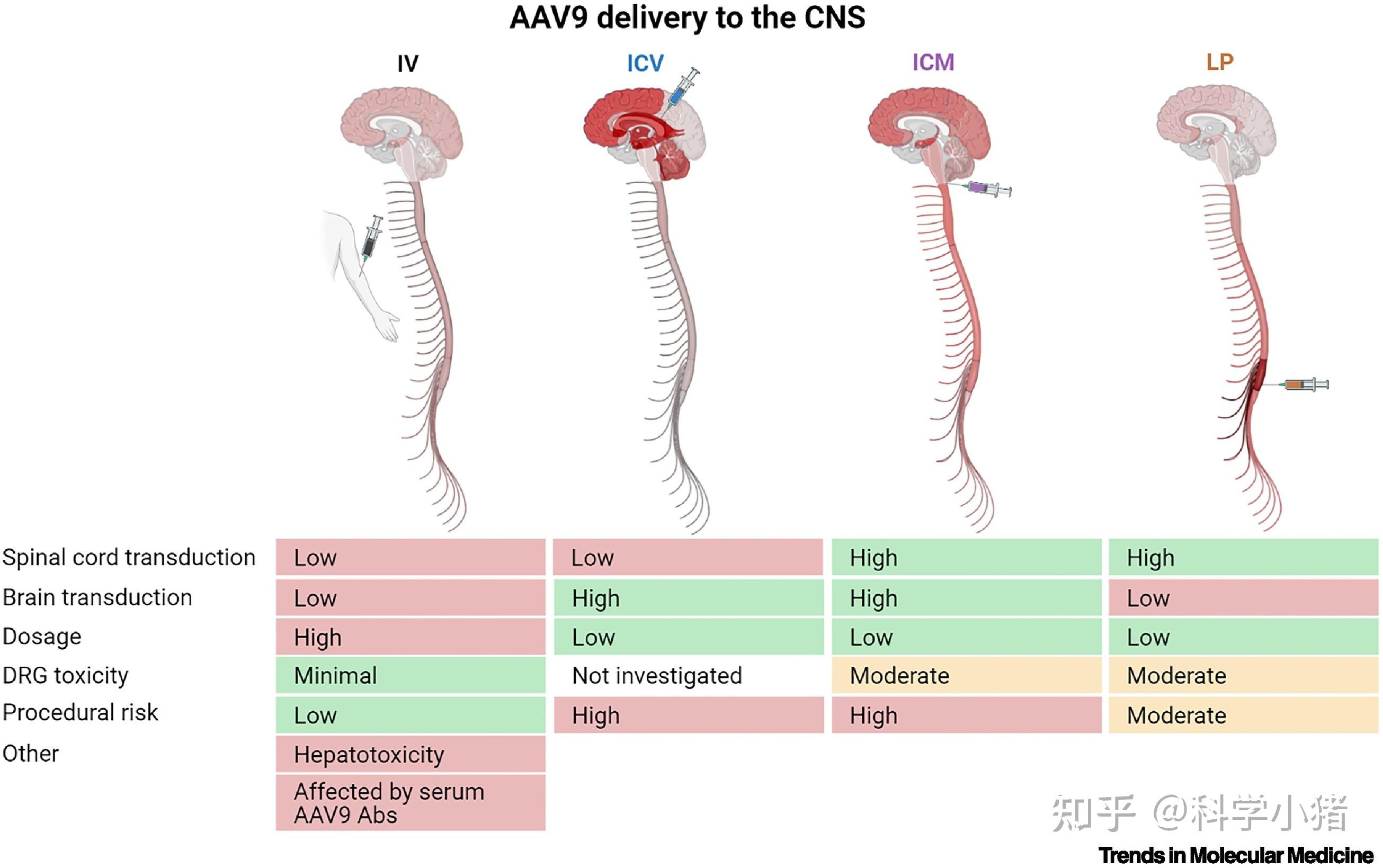 能否通过钻颅向大脑直接注射药物的方法，来突破血脑屏障？ - 知乎