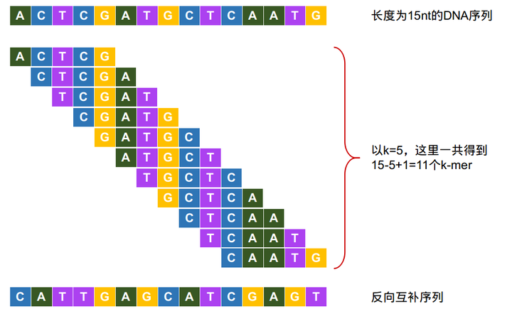 用k Mer进行基因组调查:(一)基本原理 知乎