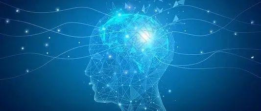 Nat. Commun. | AIDE：用于医学图像自动分割的标注高效深度学习模型 - 知乎