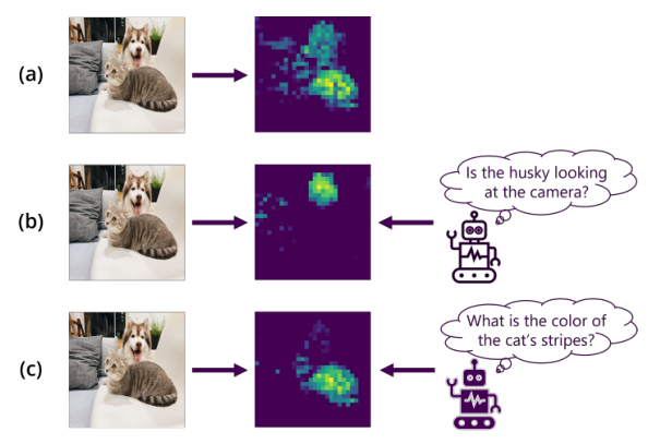 CVPR2023|来自综合分析的自上而下的视觉注意力 - 知乎