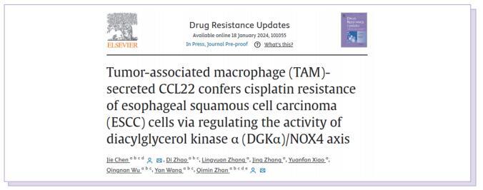 顺铂化疗耐药性揭秘：TAM释放CCL22成罪魁祸首！ - 知乎