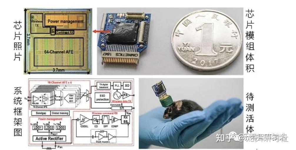脑机接口：人机交互终极方式，核心环节梳理 - 知乎