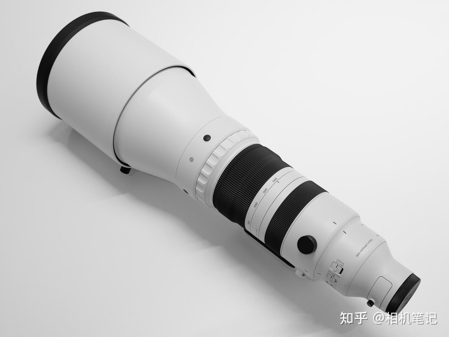 不到4万元！适马300-600mm F4生态拍摄体验 - 知乎