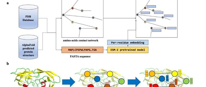 ZeroBind: 零样本的药物-靶标相互作用（DTI）预测 - 知乎