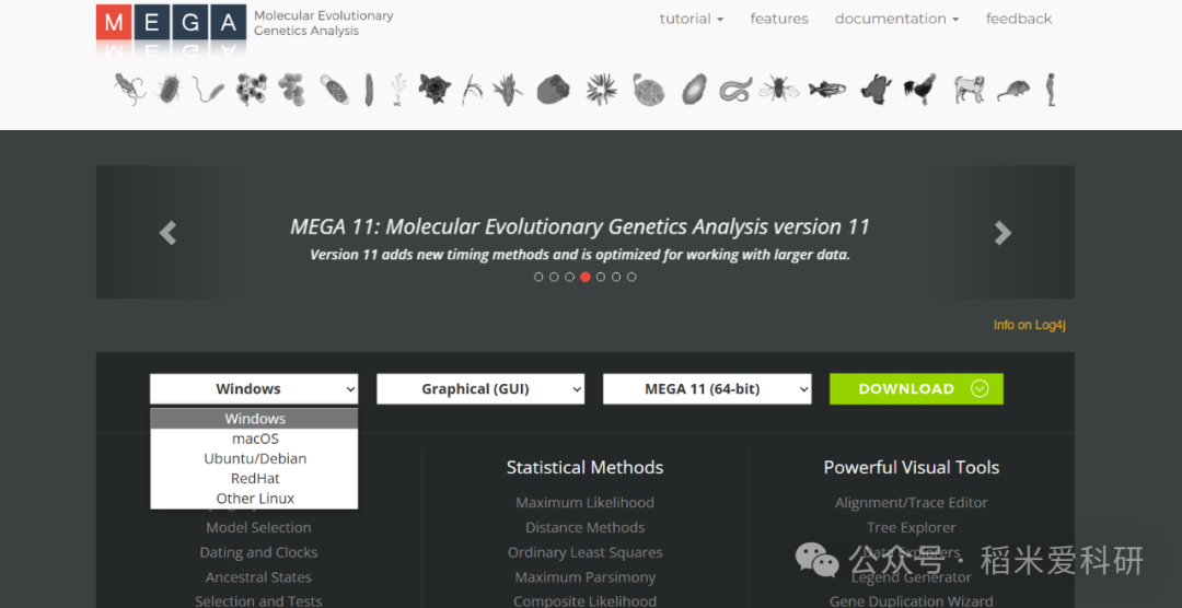 MEGA | 系统发育树构建 - 知乎