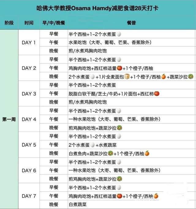 2024年28天哈佛减肥法,坚持住少年少女们 知乎