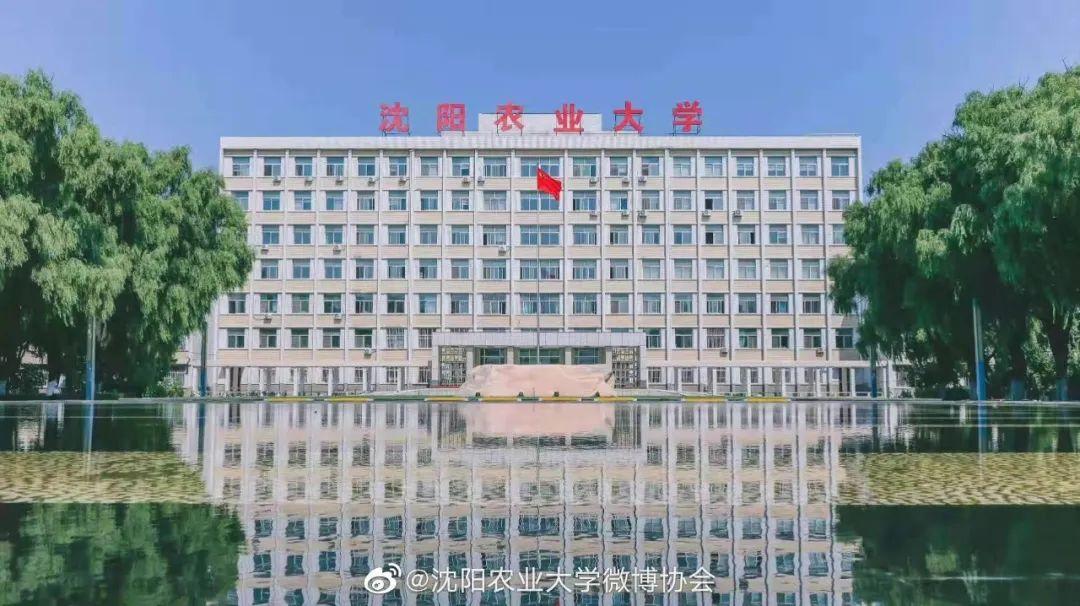 录取率：215分100%，211分50%，210分0%：2022年沈阳农业大学MPAcc复试情况分析 - 知乎