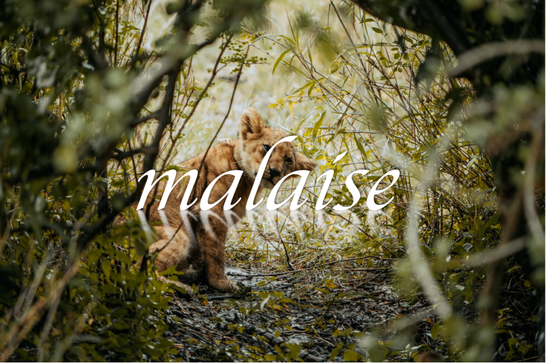 小词详解 | malaise - 知乎