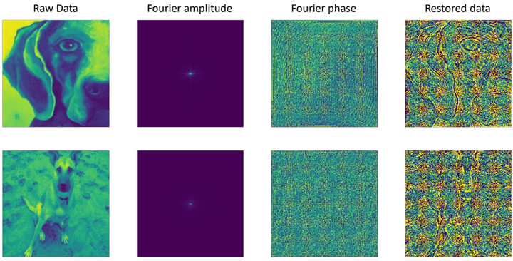 《小王爱迁移》系列之39：充分挖掘域不变特征的域泛化DIFEX (TMLR'22) - 知乎