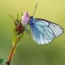 TRAE必装插件-Markdown Preview - 知乎