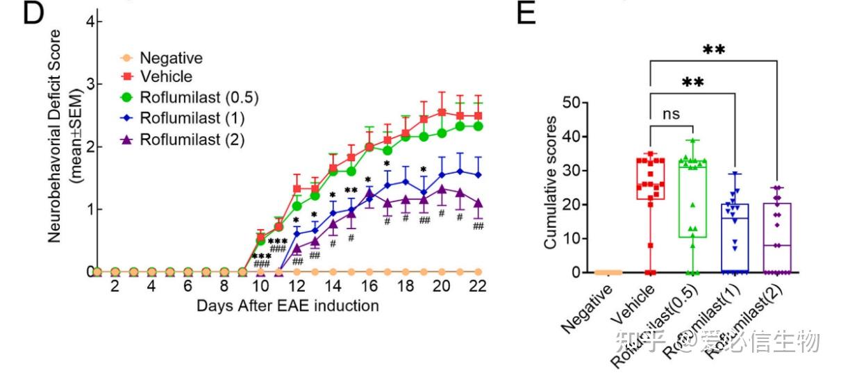 EAE模型 | 罗氟司特调节神经炎症，改善多发性硬化症(MS)的运动功能和抑郁症状 - 知乎