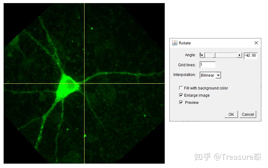 ImageJ实用教程——倾斜区域提取(基础功能篇) - 知乎