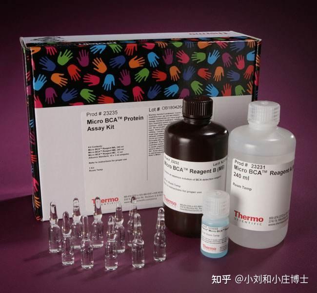 如何使用BCA进行蛋白浓度测定 - 知乎