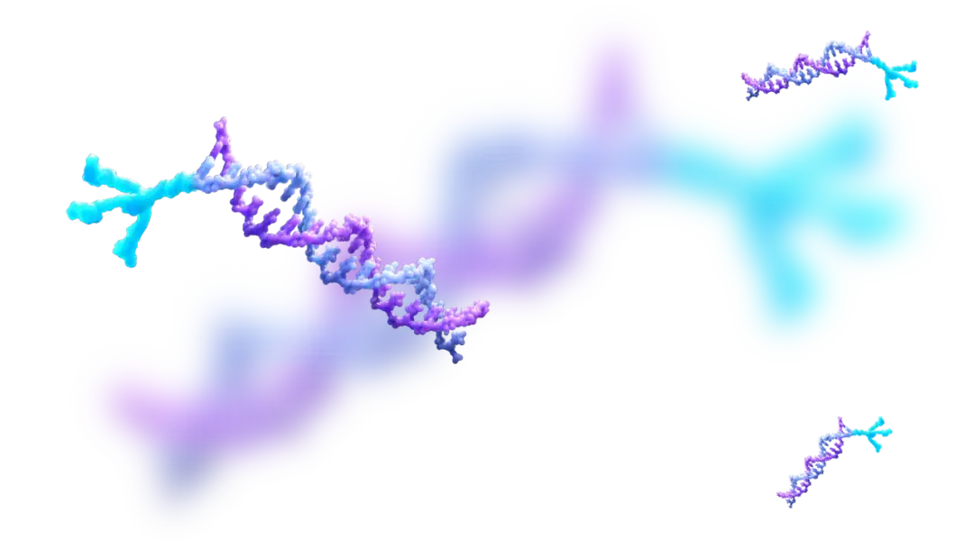 小链条，大突破：siRNA的递送与快速开发 - 知乎