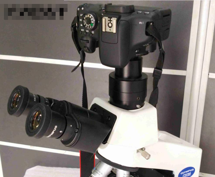 显微基础丨④目镜、观察头以及摄影 - 知乎