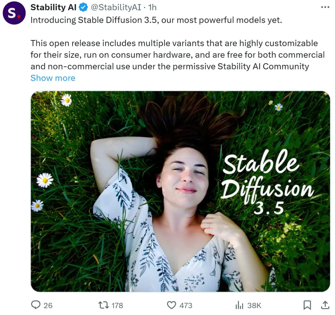 刚刚！Stable Diffusion 3.5最强模型全家桶来了，三个型号 - 知乎