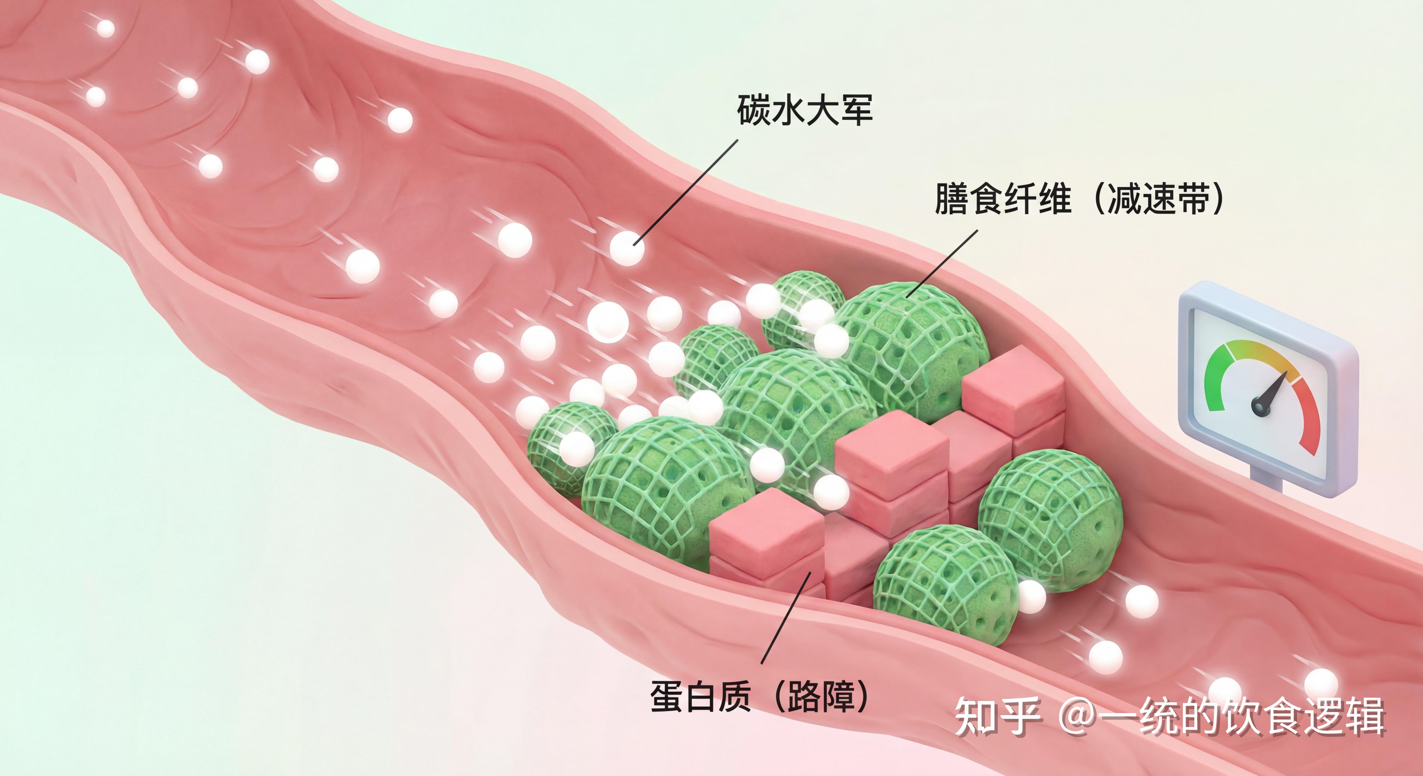 血糖高，控糖的一日三餐都能吃些什么？ - 知乎