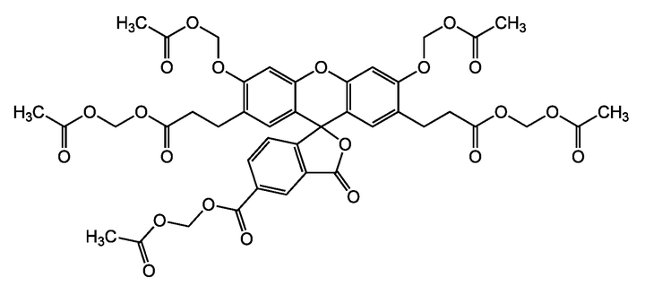 BCECF-AM,PH敏感探针 - 知乎