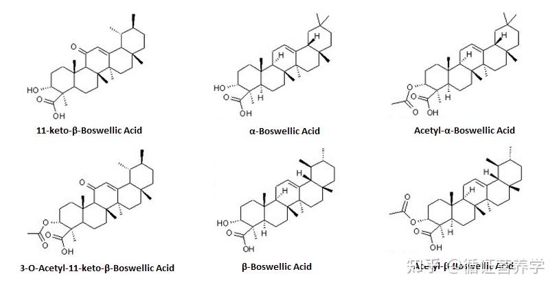 功能营养篇-印度乳香（AprèsFlex®） - 知乎