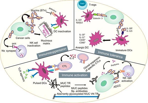 MUC17：粘蛋白“冷”靶点，探索胃癌新疗法！ - 知乎