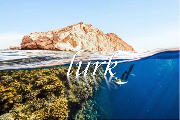 小词详解 | lurk - 知乎