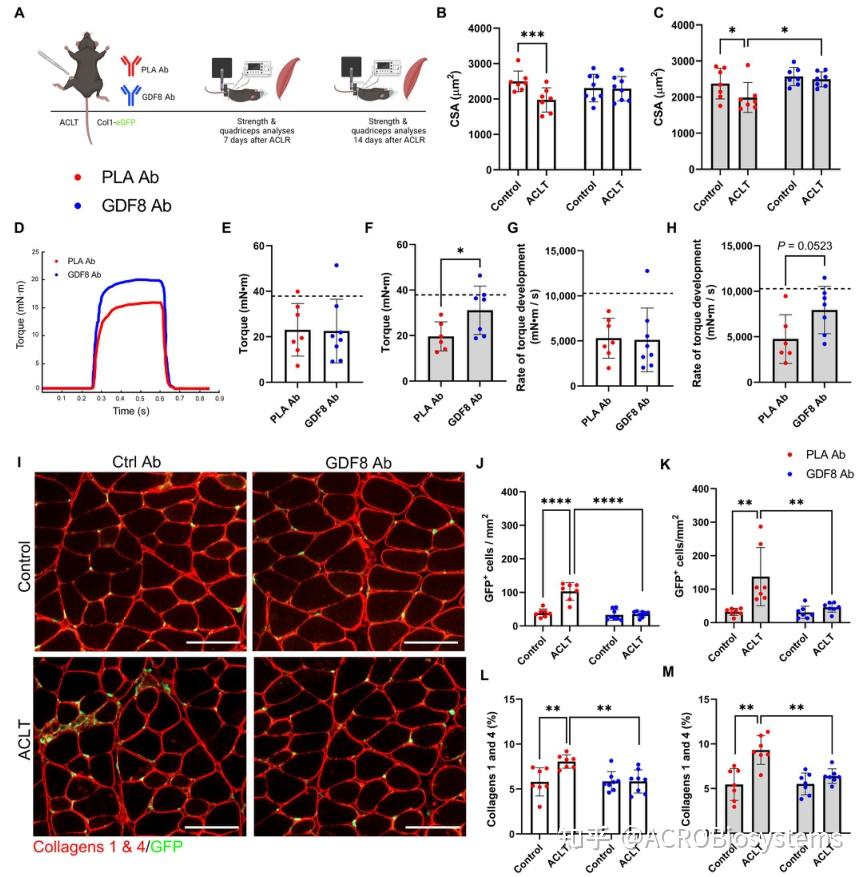 Latent GDF-8：助力肌肉与骨骼疾病药物开发 - 知乎