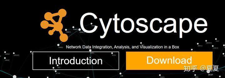 Cytoscape windows11详细安装教程（适用于中国大陆地区） - 知乎