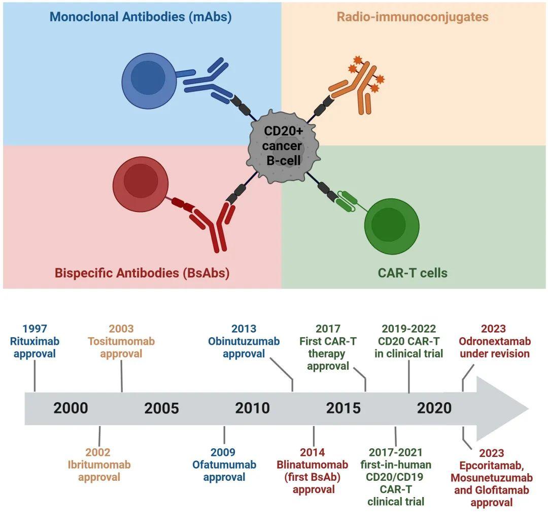 CD20在癌症免疫治疗中的最新应用汇总 - 知乎