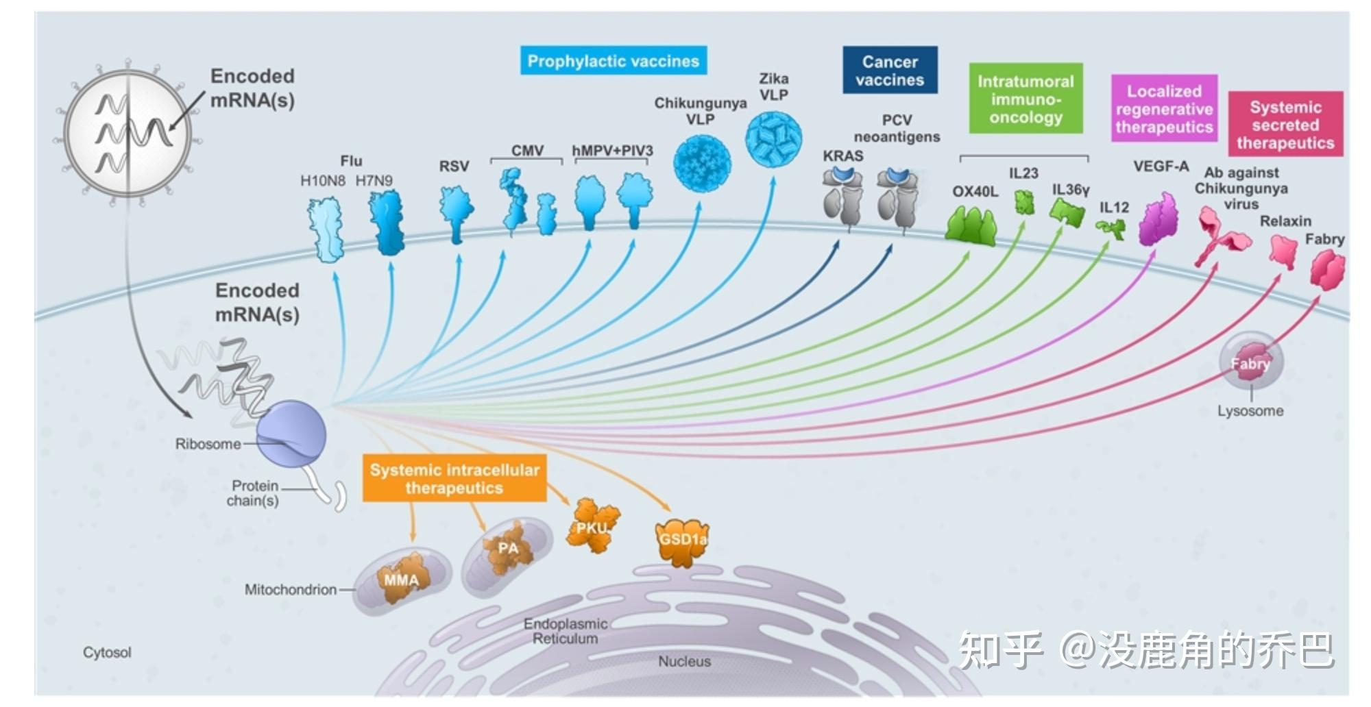 mRNA 疫苗的未来研究重点是什么？ - 知乎