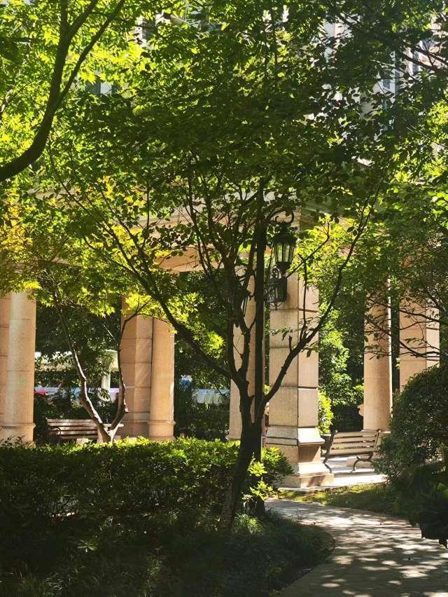 Codeforces Round 982 (Div. 2) A-D1题解 - 知乎