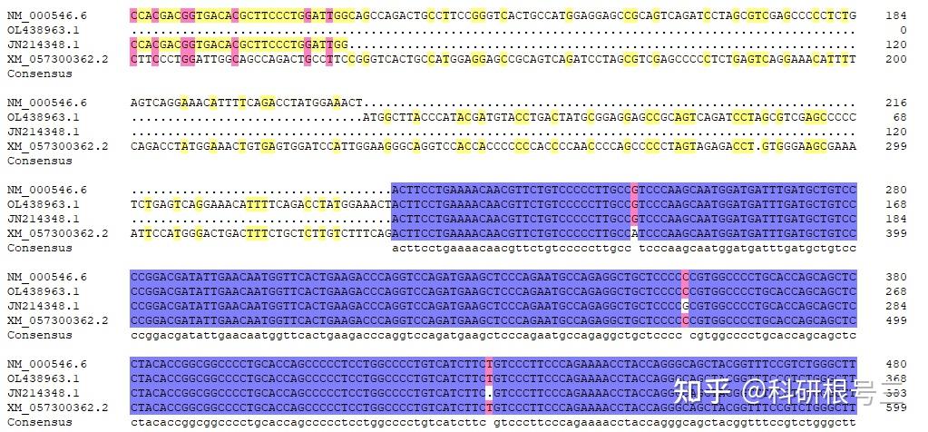 如何下载蛋白序列并利用DNAMAN进行多序列比对？（附安装包） - 知乎
