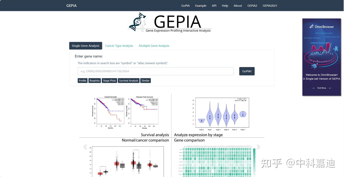 推荐收藏！高分生信文章必不可少的8个基因数据库！ - 知乎
