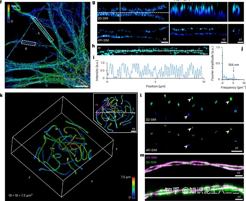 细胞成像的超级“放大镜”——4Pi-SIM - 知乎